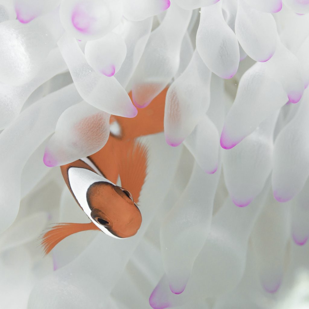 Javaフルコース | RaiseTech（レイズテック）