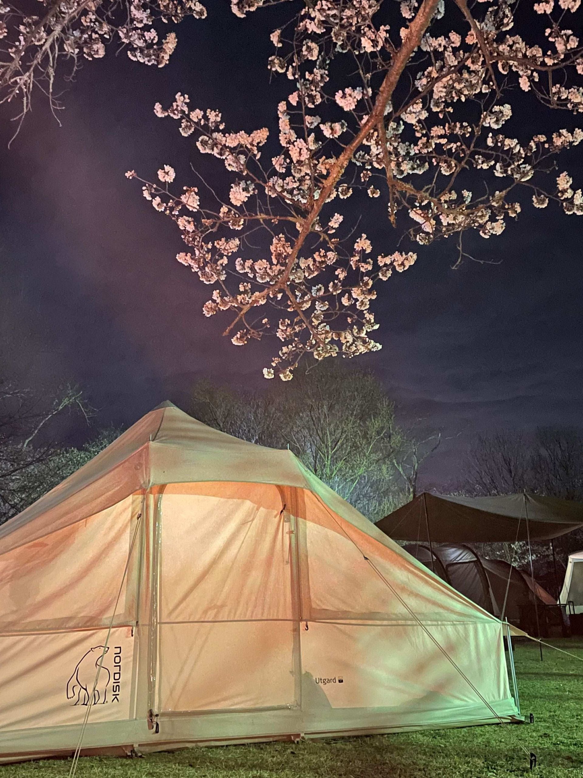 odajima | RaiseTech（レイズテック）