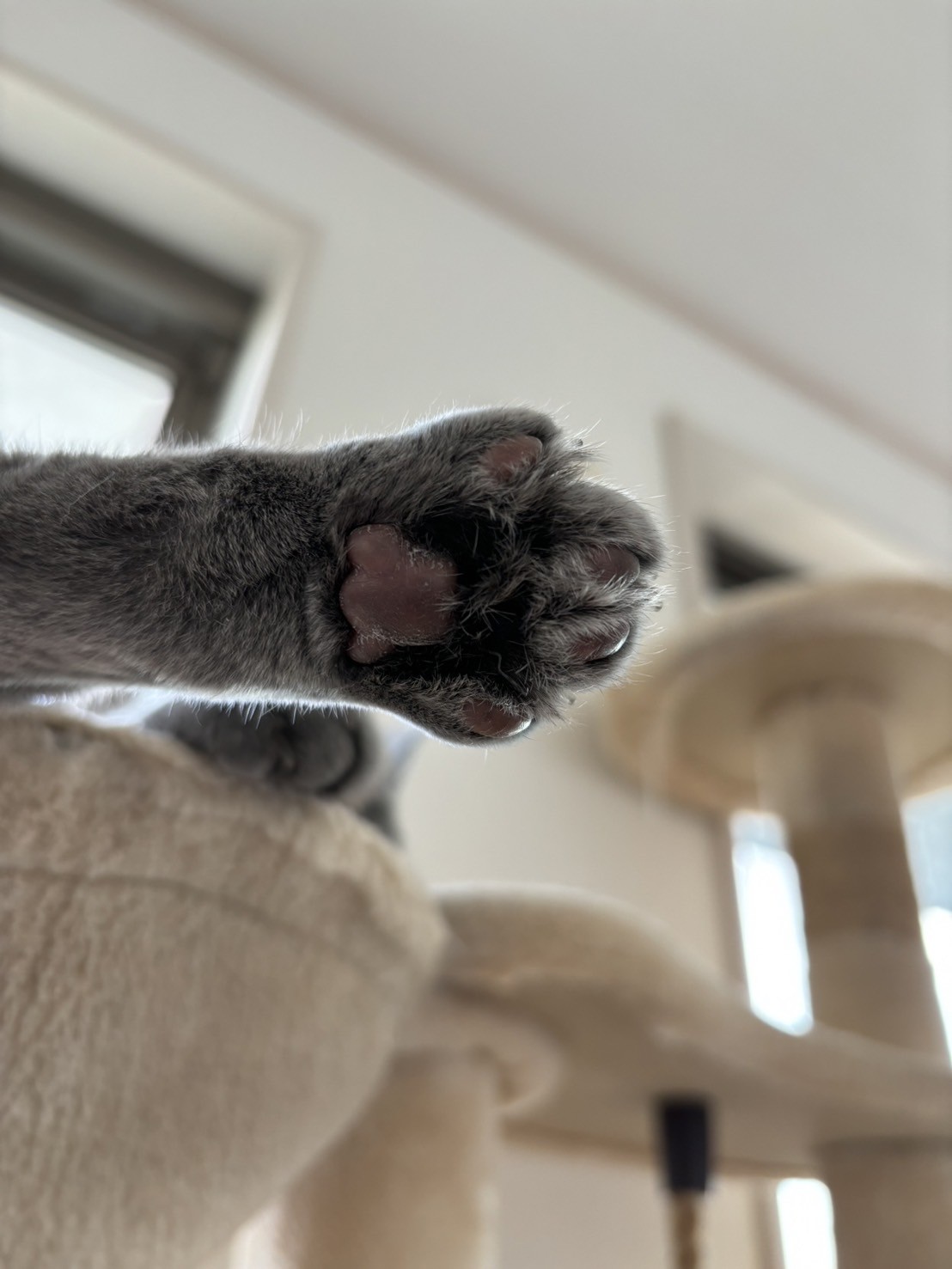 E.S | RaiseTech（レイズテック）